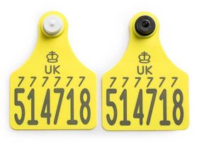 Senior Ultra TST Primary and Senior Ultra Secondary Tissue Sampling Tags